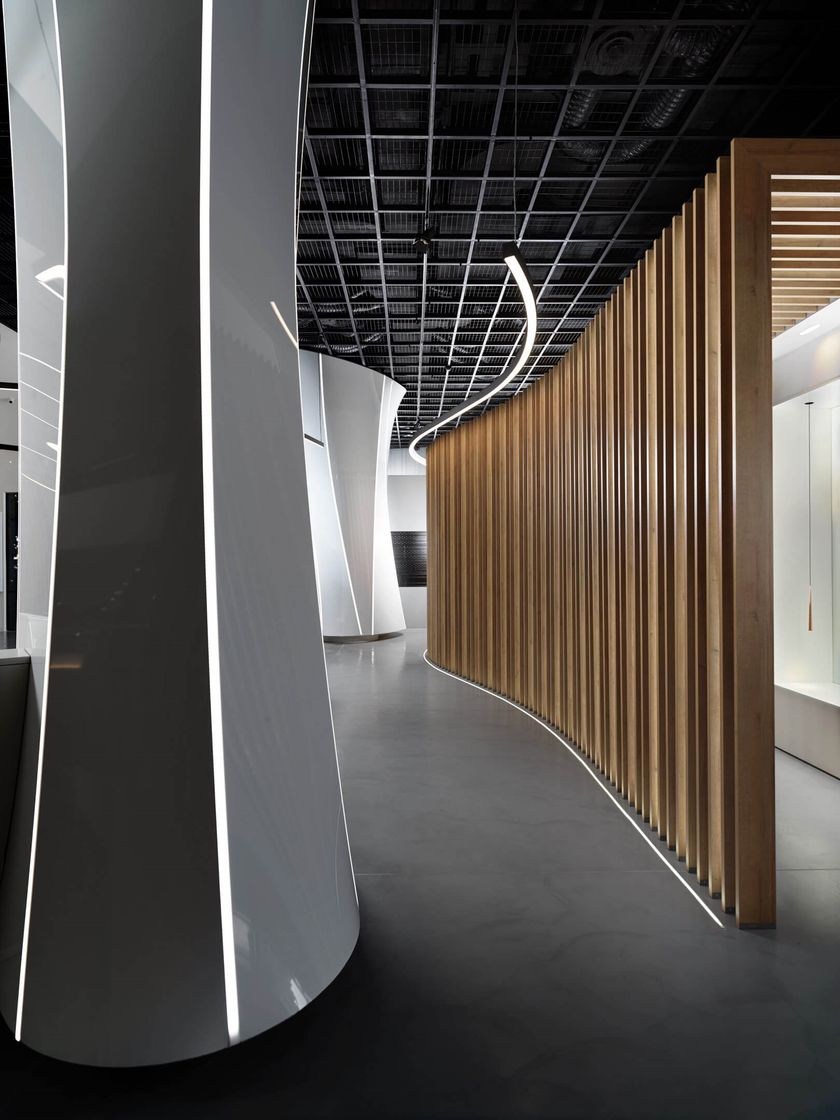 WAVE SDI Pendant lamp By Intra lighting