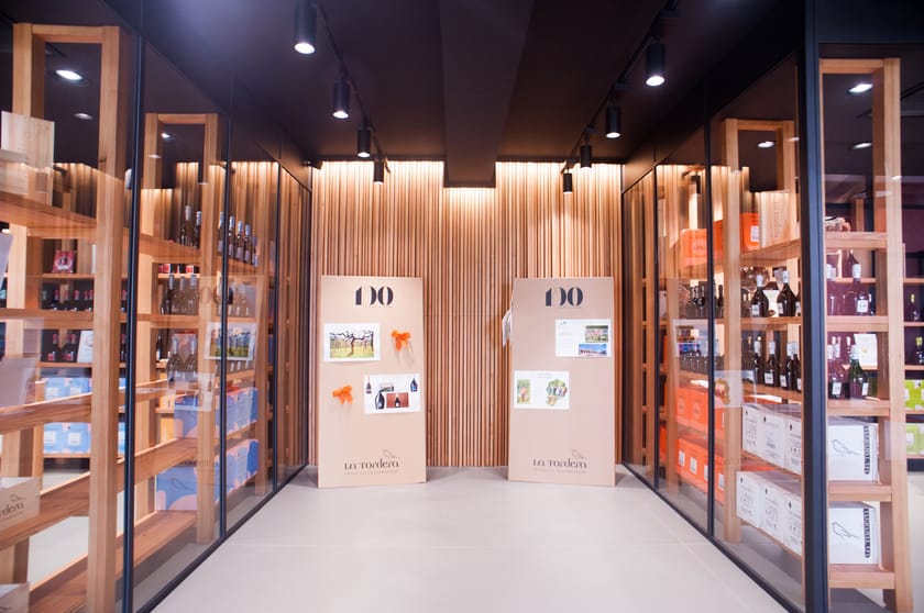 FOCUS TRACK Track-Light By WayPoint