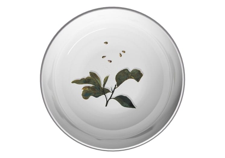 Set di piatti in melamina YUAN EDEN Collezione Faux-Semblants By IBRIDE ...