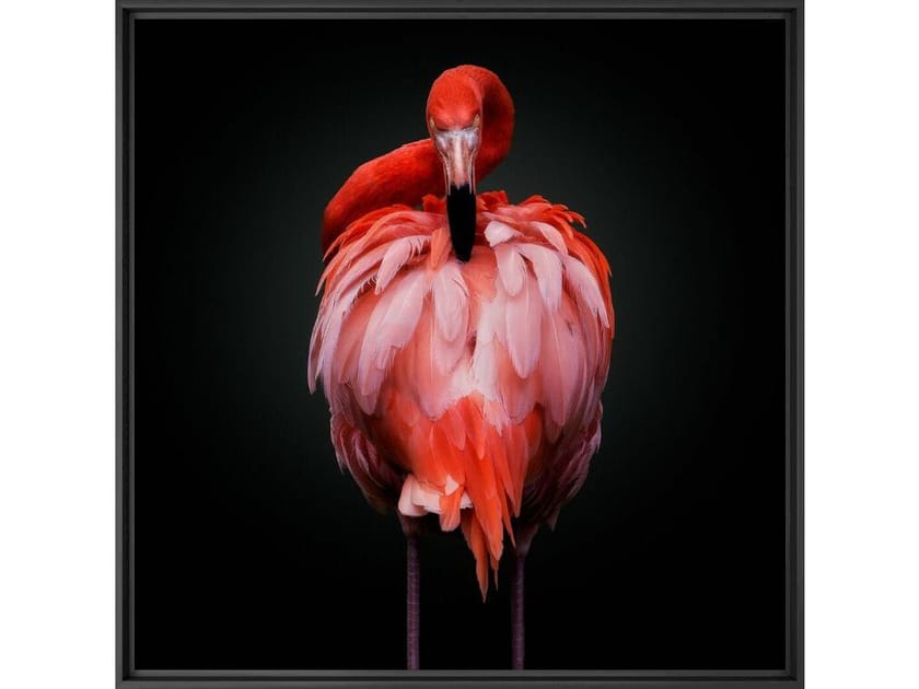 WATCH YOUR BACK Stampa fotografica in carta By YellowKorner