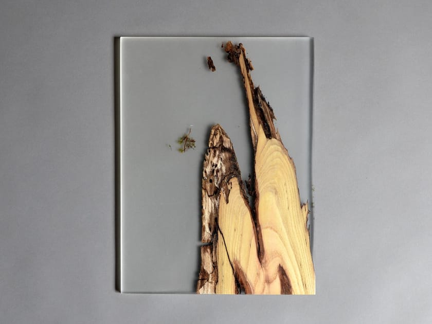 UNDERGROWTH LAYER WALL ART Painting By Alcarol