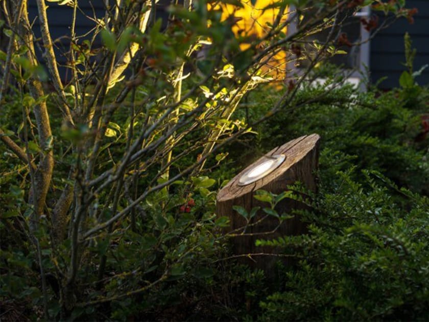 BASSO Steplight By Timberlab