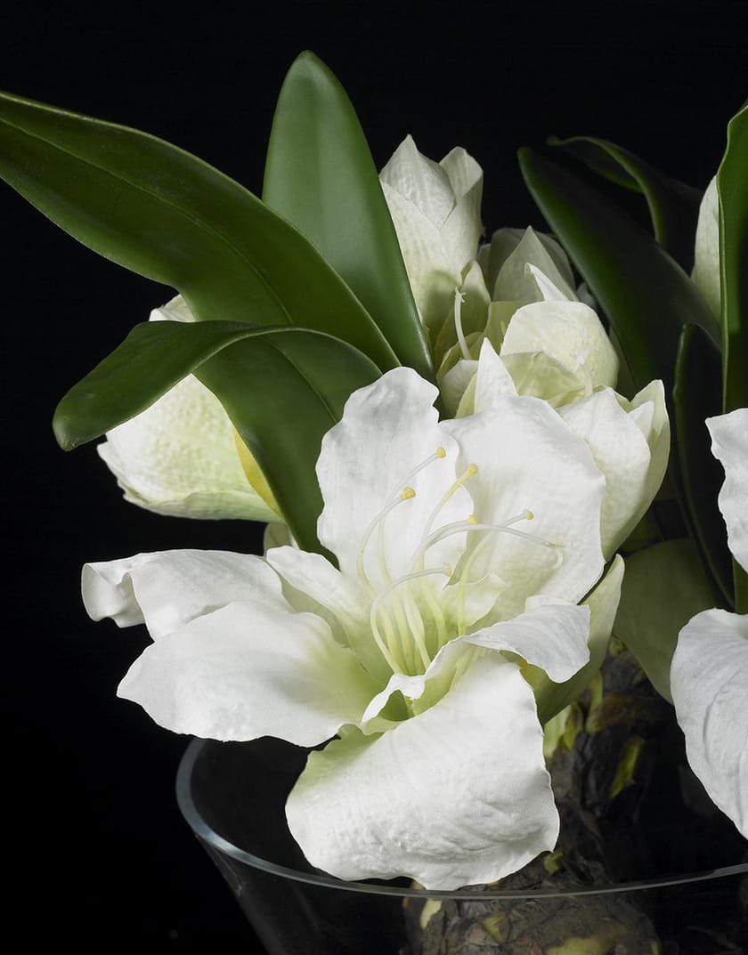 BULBO MASSY Pianta artificiale By VGnewtrend