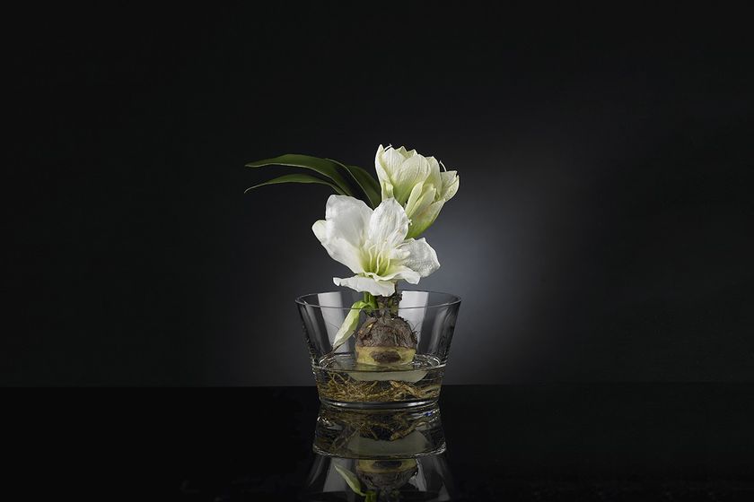 BULBO MASSY Pianta artificiale By VGnewtrend