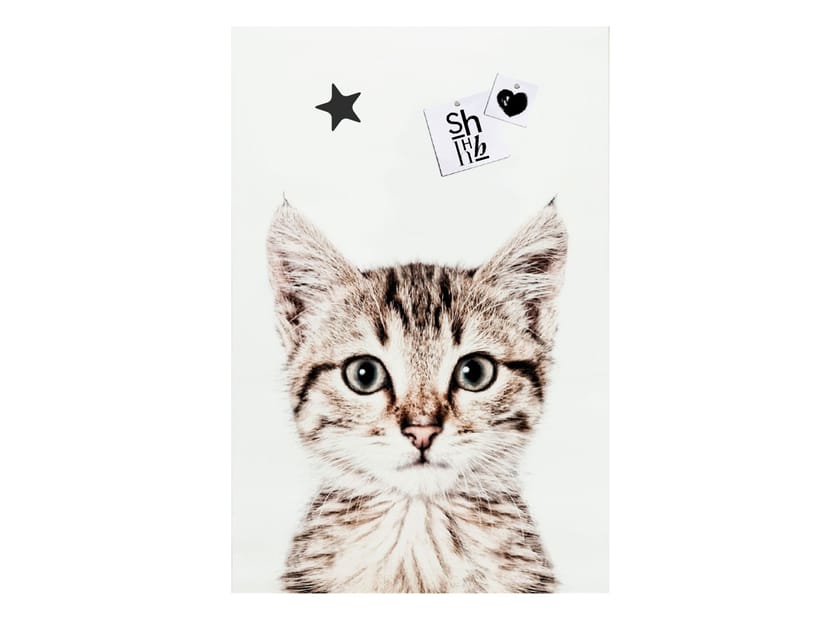 Magnetic poster CAT By Groovy Magnets