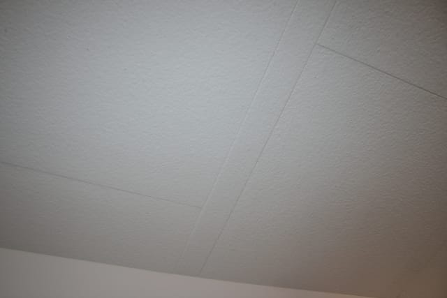 Flat suspended ceiling EPS ceiling tiles By Wall System