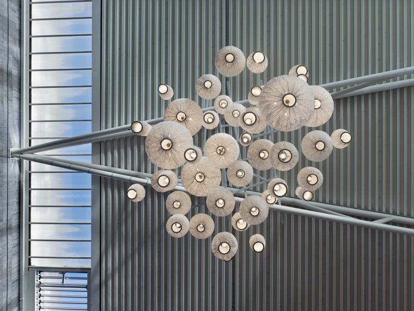 CORAL REEF | Pendant lamp Coral Collection By a-emotional light design ...