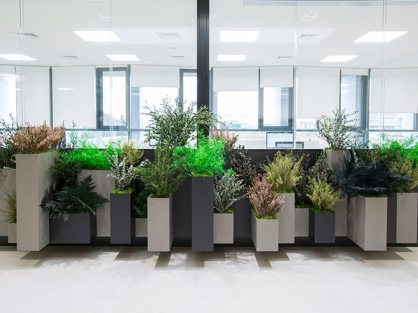 Piante stabilizzate CUSTOM PLANTERS By GREENAREA
