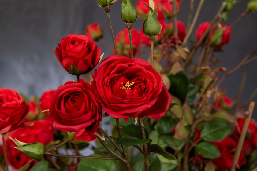 CYLINDER RED ROSES BUSH 花瓶 / 人工植物 By VGnewtrend