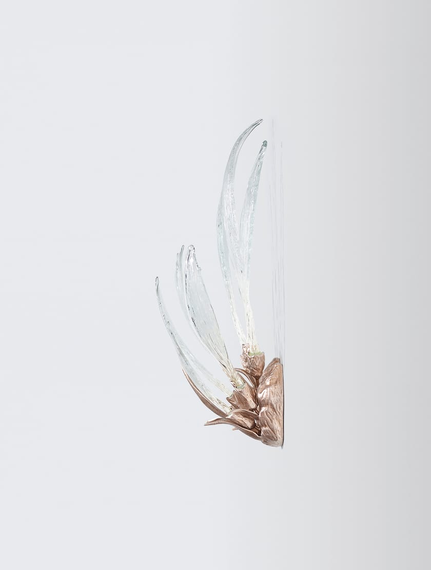 DANDELION CHRYSALIS LIGHT Lampada da parete By Serip