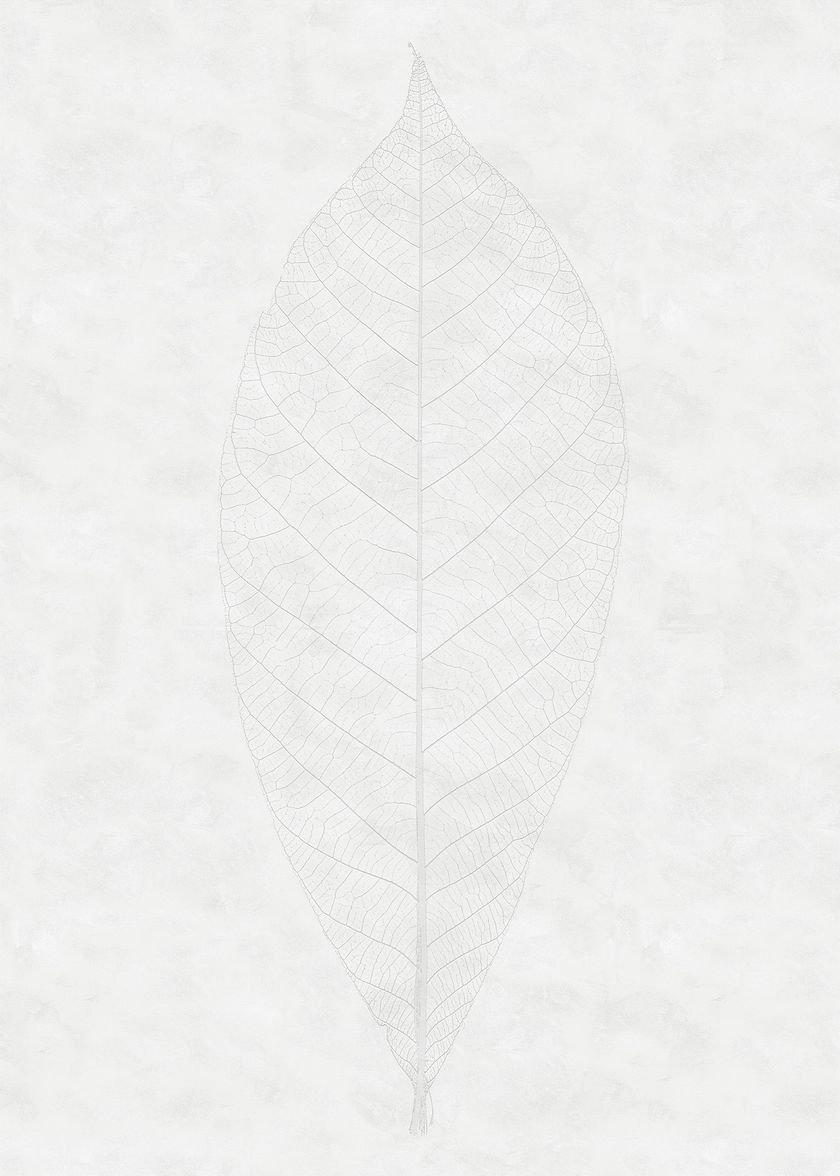 Nonwoven wallpaper with floral pattern DECENT LEAF Heritage Collection ...