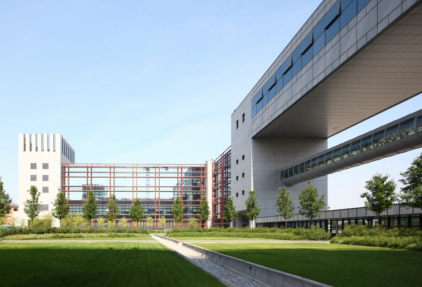 DERBIGUM AR Antiradice By Derbigum