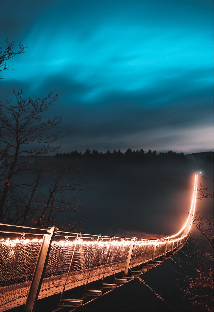 LED strip light ---- Pro Series Collection By Colorsled