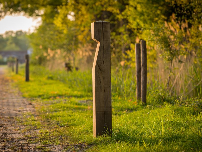 EYE LED wooden bollard light By Timberlab