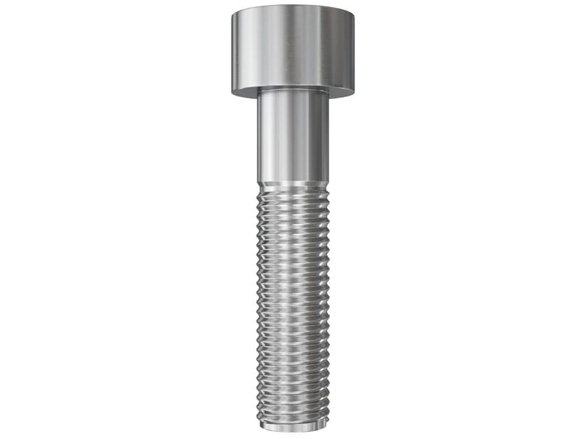 Fischer TCEI Screw By fischer