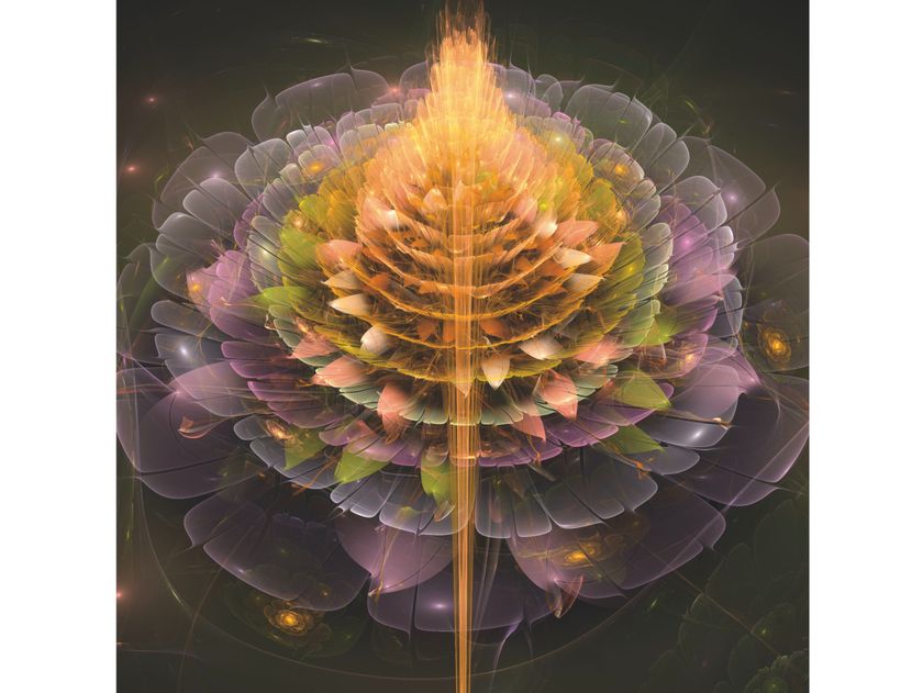 FRACTAL FLOWER Stampa su carta By ARTDESIGNBOX design Lucio Casaroli