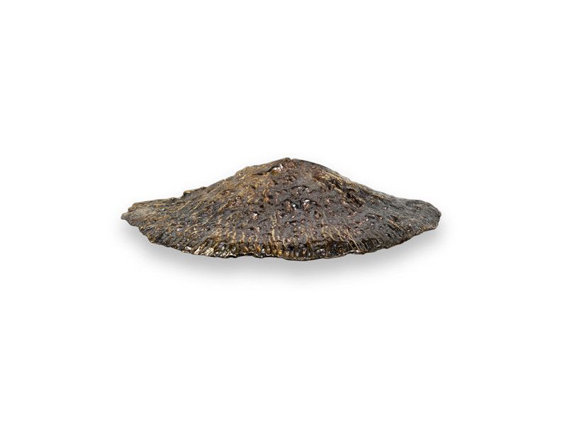 EARTH Pomello in ottone By PullCast