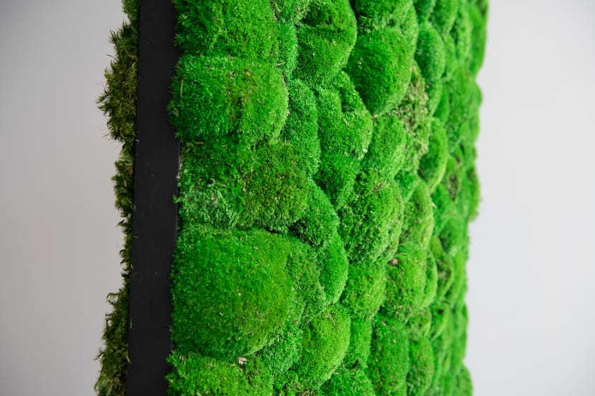 Muro vegetal de plantas estabilizadas G-DIVIDER Colección G-Line By ...