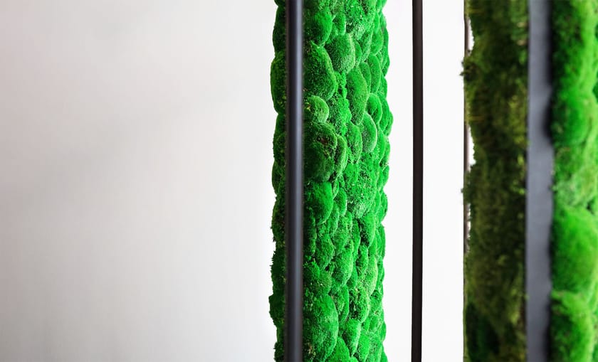 G-LINE Muro vegetal de plantas estabilizadas By GREENMOOD | design ...