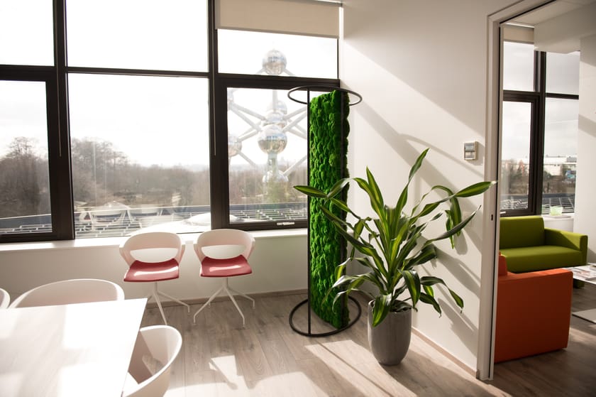 G-LINE Muro vegetal de plantas estabilizadas By GREENMOOD | design ...