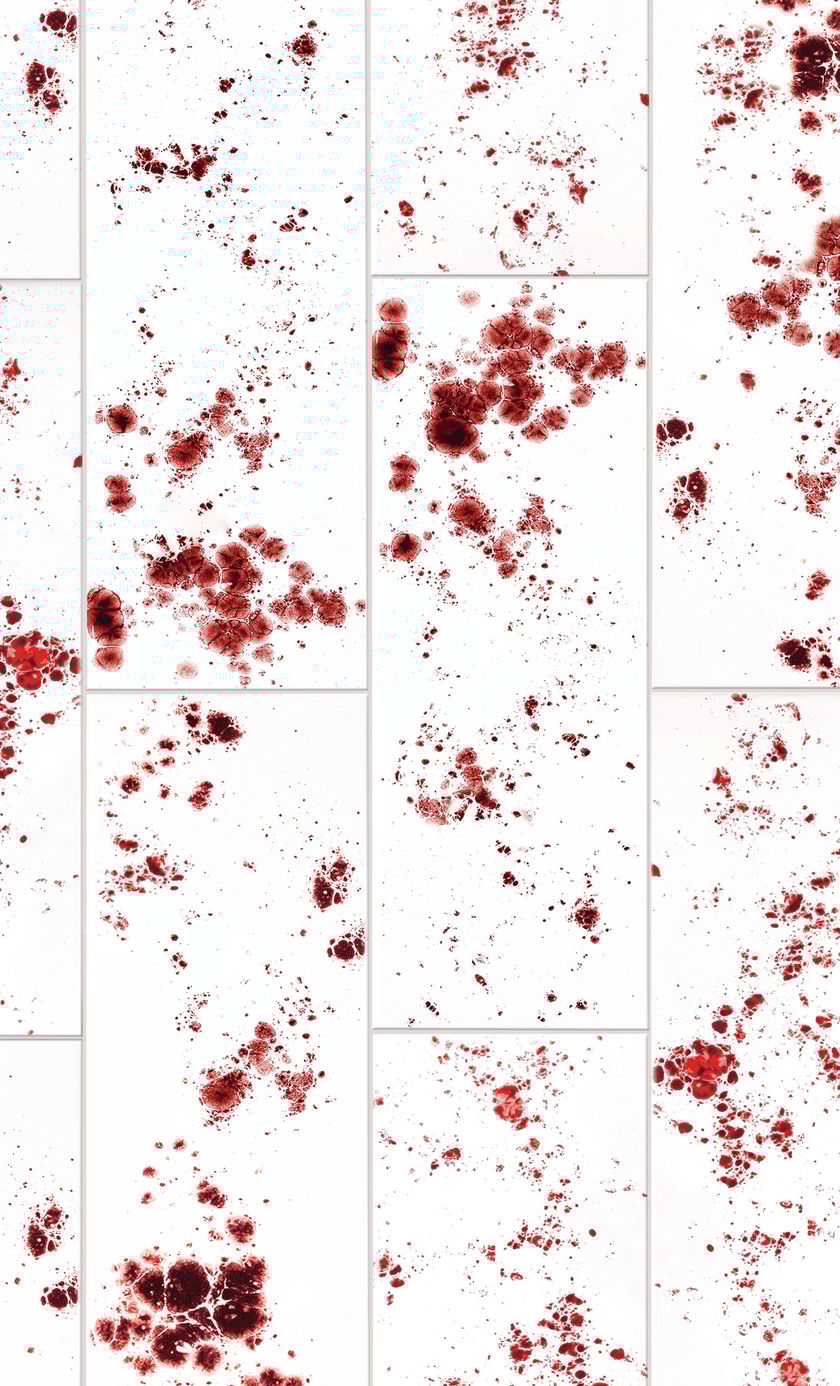 Rivestimento in maiolica per interni INCHIOSTRO SIMPATICO | ISB ...