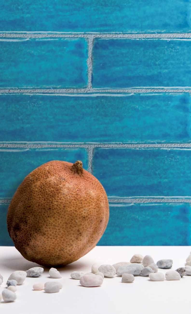 MARE Faïence wall tiles By Danilo Ramazzotti