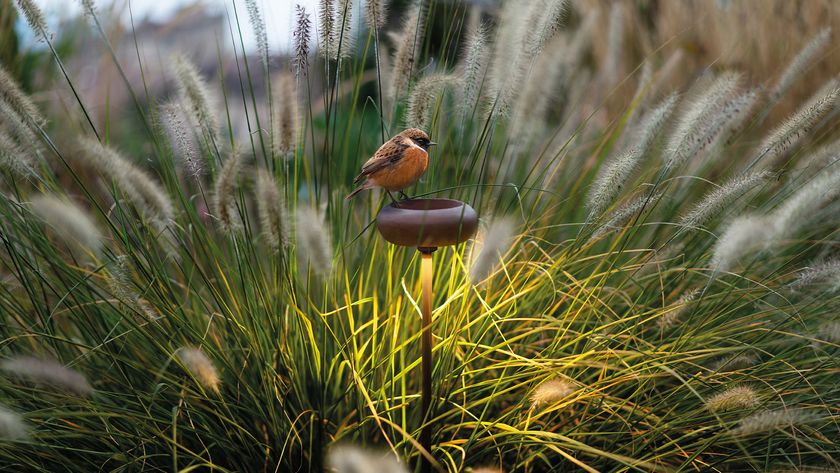OOLITE CUP Bollard light By 9010 novantadieci | design Maurizio Quargnale