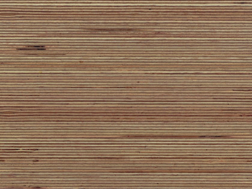 Birch Veneered panel PLEXWOOD® BIRCH By Plexwood