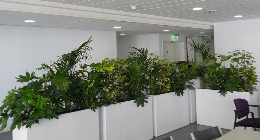 BAC INDOOR | Plant pot By IMAGE'IN