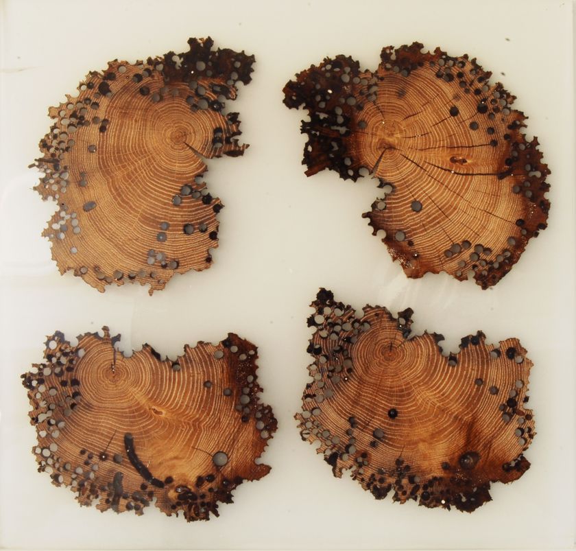 BRICCOLE Briccola wood Decorative panel By ANTICO TRENTINO