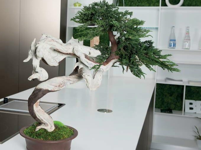 Pflanze aus Stabilisierte Pflanzen SINUOUS TREE By GREENAREA