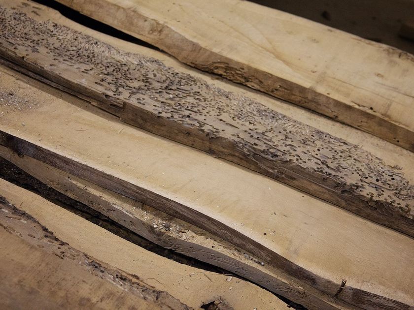 BRICCOLE VENEZIANE Briccola wood parquet By ANTICO TRENTINO
