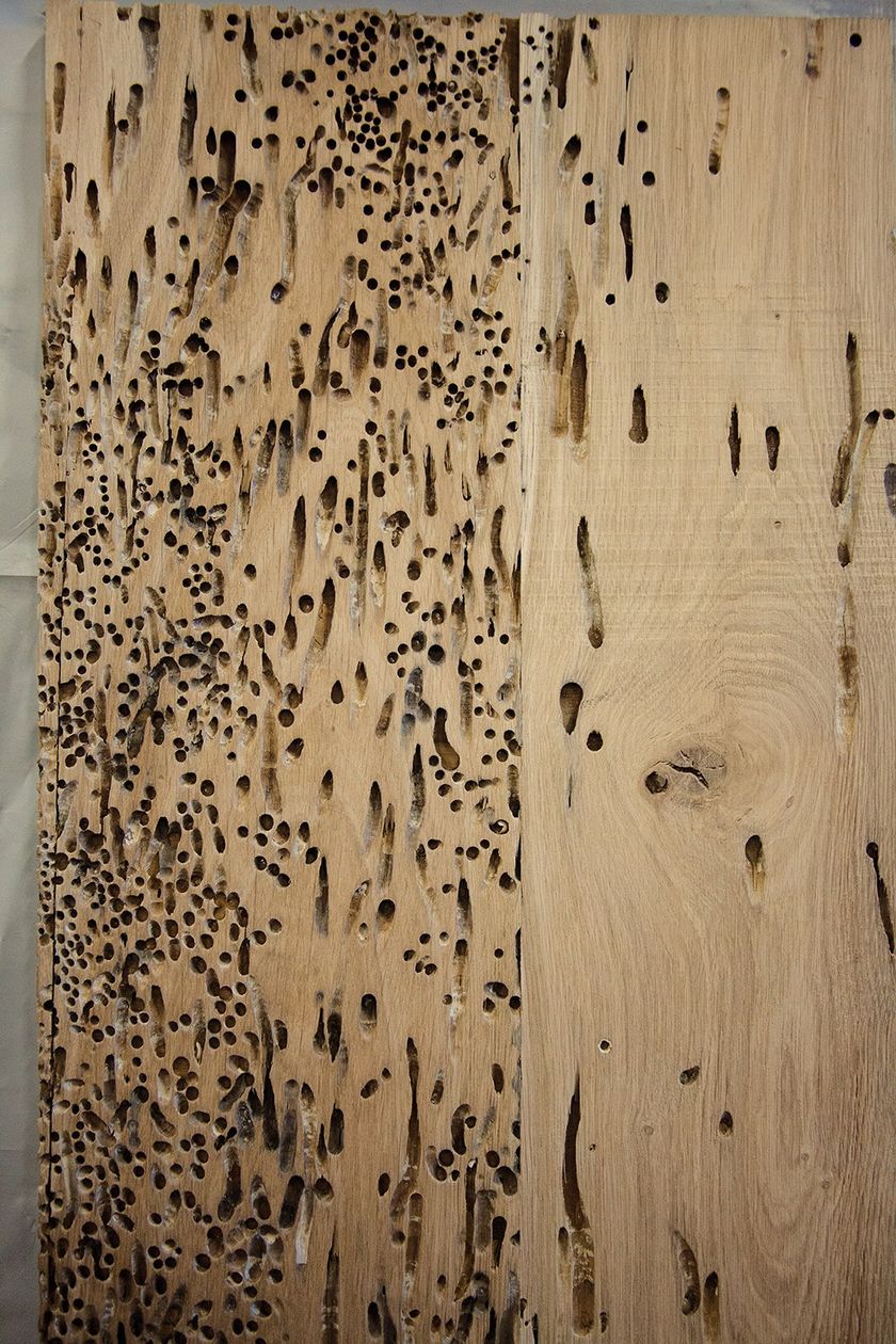 BRICCOLE VENEZIANE Briccola wood parquet By ANTICO TRENTINO