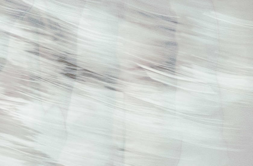 VENTO GREY carta da parati By Martina Banozic Textiles