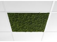 CEILING Acoustic Moss ceiling panels By Nordgröna