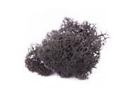 Acoustic Moss ceiling panels CEILING By Nordgröna