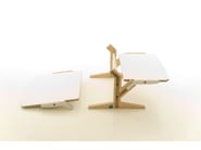 DOUBLE HORIZONTAL TABLET Coffee table By rform