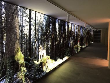 LUMINOUS WALLS Backlit Stretch wall By ABS Group