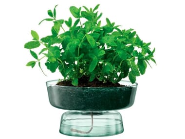 CANOPY CQ15 / CQ16 / CQ17 vase By LSA International