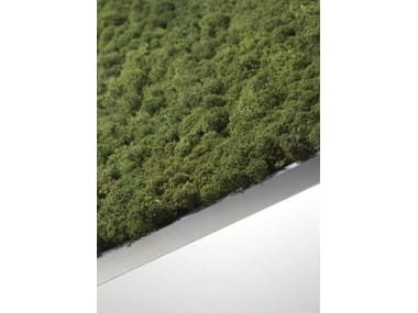 CEILING Acoustic Moss ceiling panels By Nordgröna