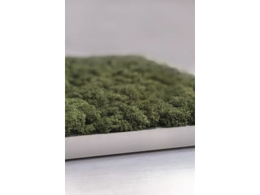 CEILING Acoustic Moss ceiling panels By Nordgröna