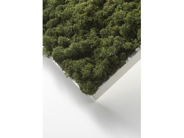 CEILING Acoustic Moss ceiling panels By Nordgröna