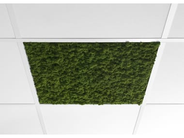 CEILING Acoustic Moss ceiling panels By Nordgröna