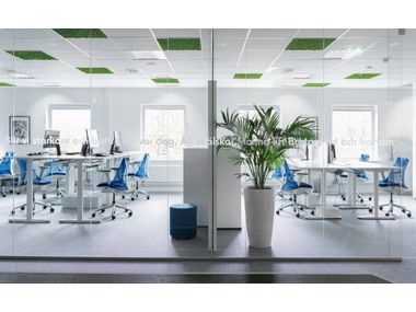 CEILING Acoustic Moss ceiling panels By Nordgröna