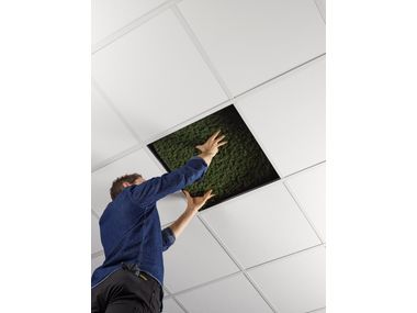 CEILING Acoustic Moss ceiling panels By Nordgröna