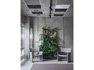 CEILING Acoustic Moss ceiling panels By Nordgröna