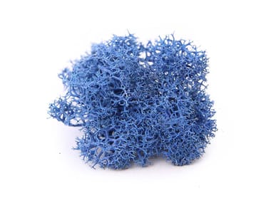 CEILING Acoustic Moss ceiling panels By Nordgröna