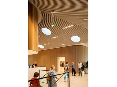 CIRCULARLIGHT Fixed single round rooflight By Velux Commercial