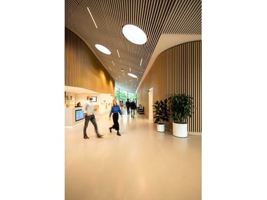 CIRCULARLIGHT Fixed single round rooflight By Velux Commercial