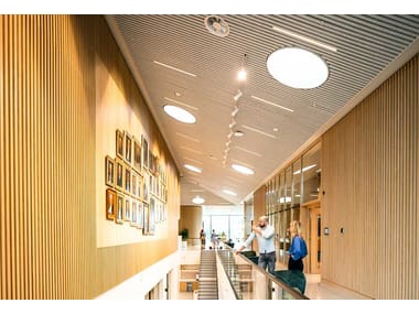 CIRCULARLIGHT Fixed single round rooflight By Velux Commercial